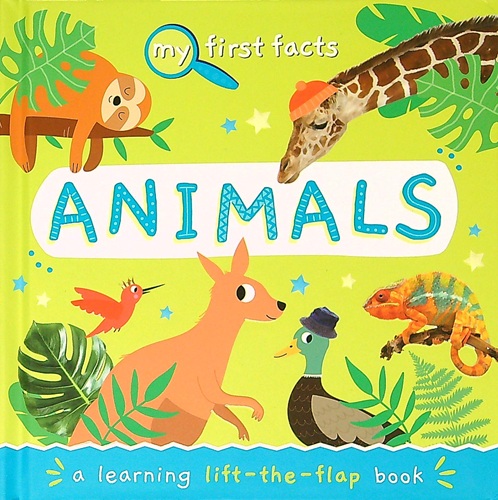 Animals: A Learning Lift-the-Flap Book (My First Facts) - Board Books ...