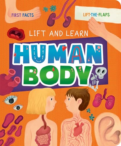 Human Body (Lift and Learn) - Board Books | Book Depot